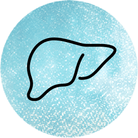 What is primary biliary cholangitis? | IQIRVO® (elafibranor) for PBC